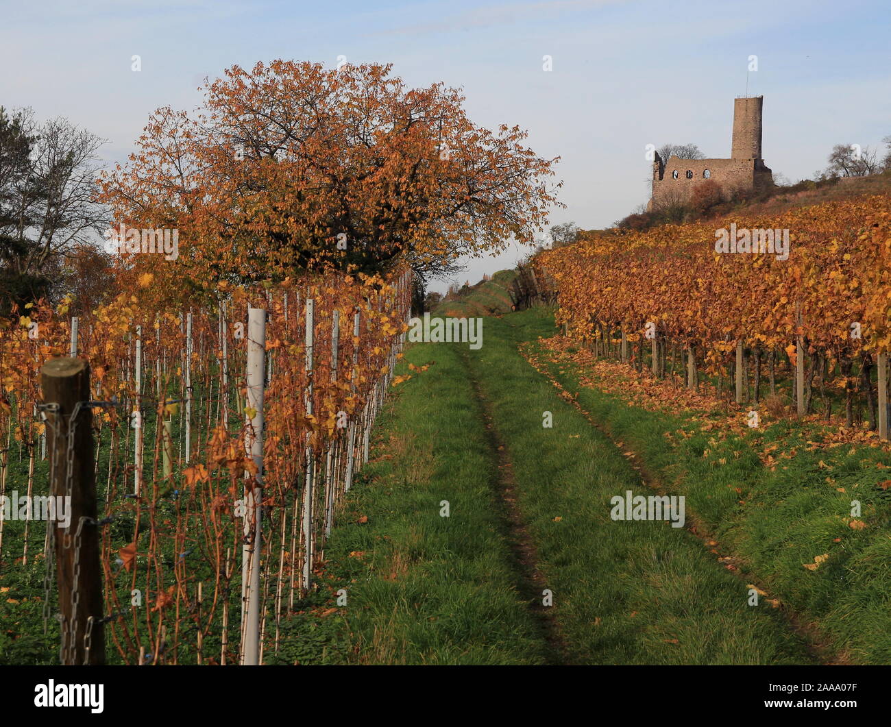 Strahlenburg High Resolution Stock Photography and Images - Alamy
