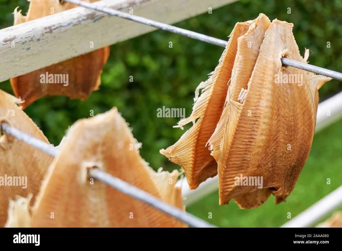Dried fish on a stick Stock Photo - Alamy