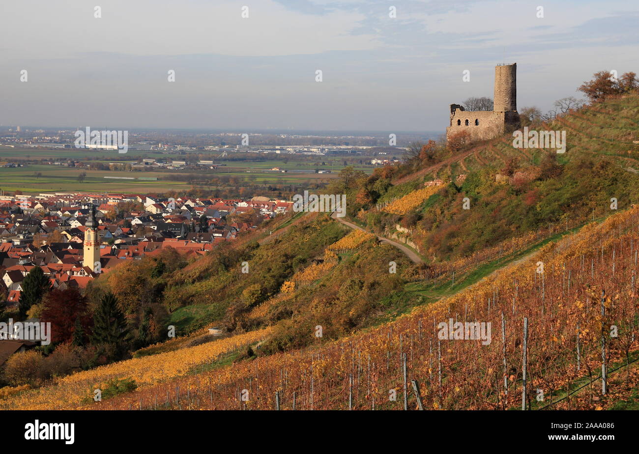 Strahlenburg in Schriesheim Stock Photo - Alamy