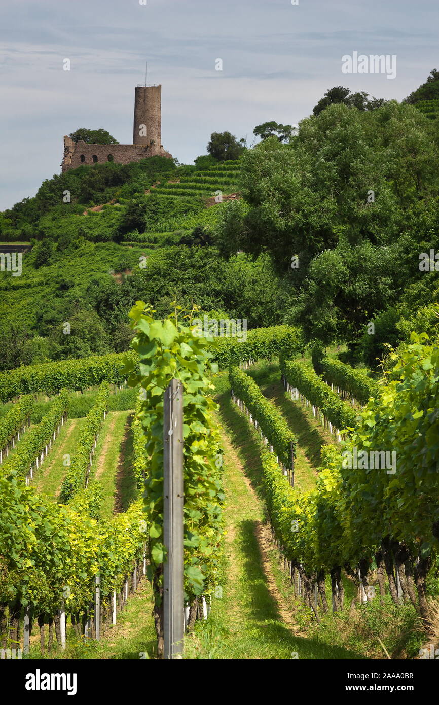 Baden wine route hi-res stock photography and images - Alamy