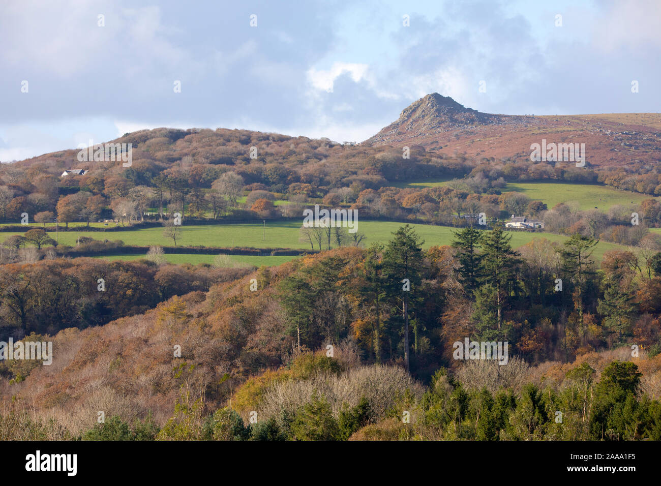 The across to Sharp Tor on Bodmin Moor in East Cornwall Stock Photo - Alamy