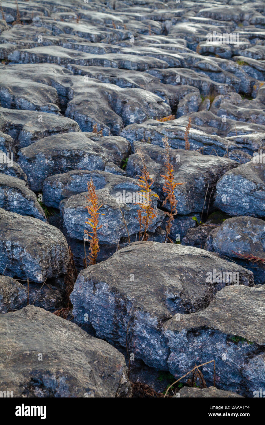 Great asby scar england hi-res stock photography and images - Alamy