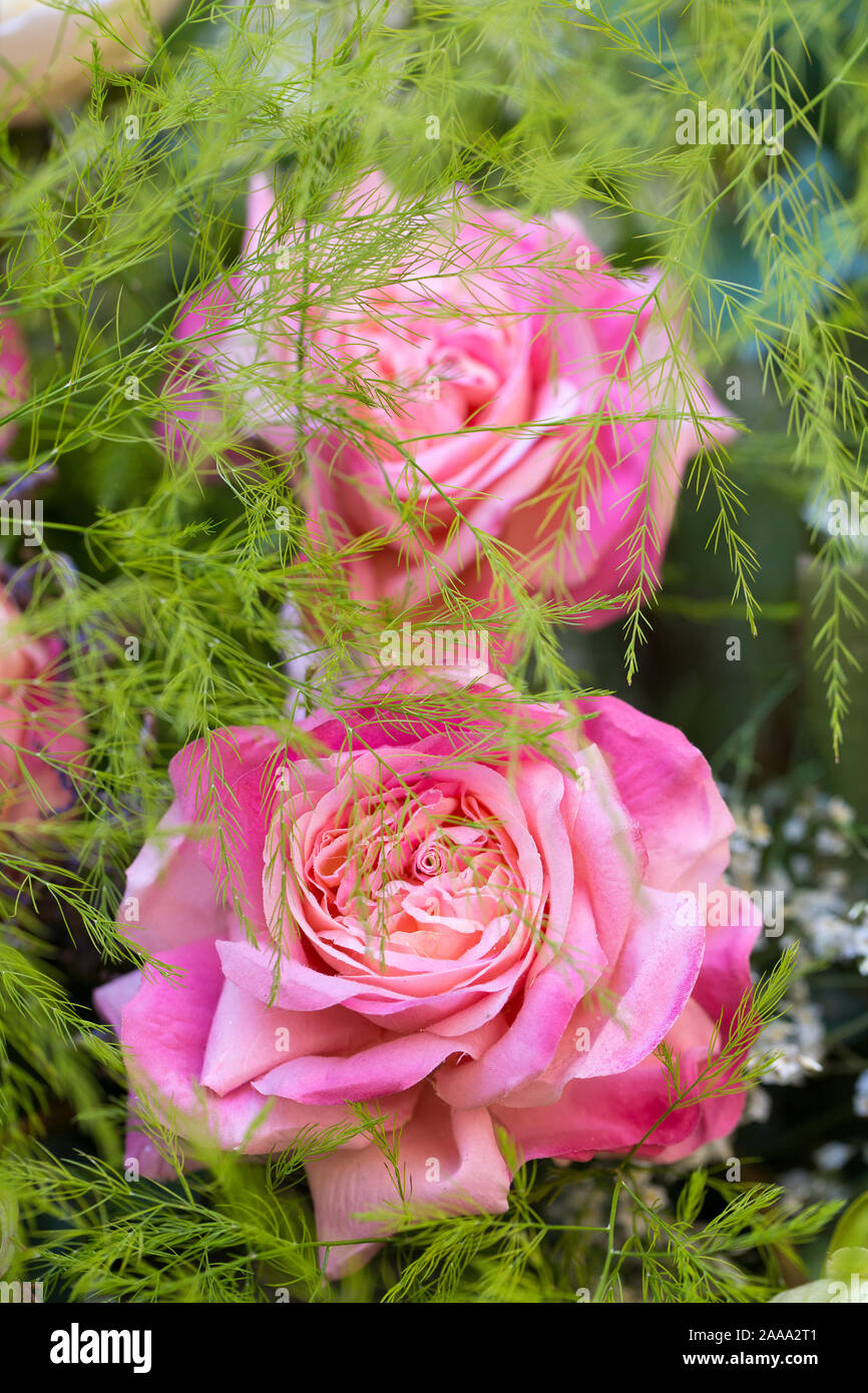 Pink artificial rose flower bloom in a beautiful bouquet Stock Photo ...