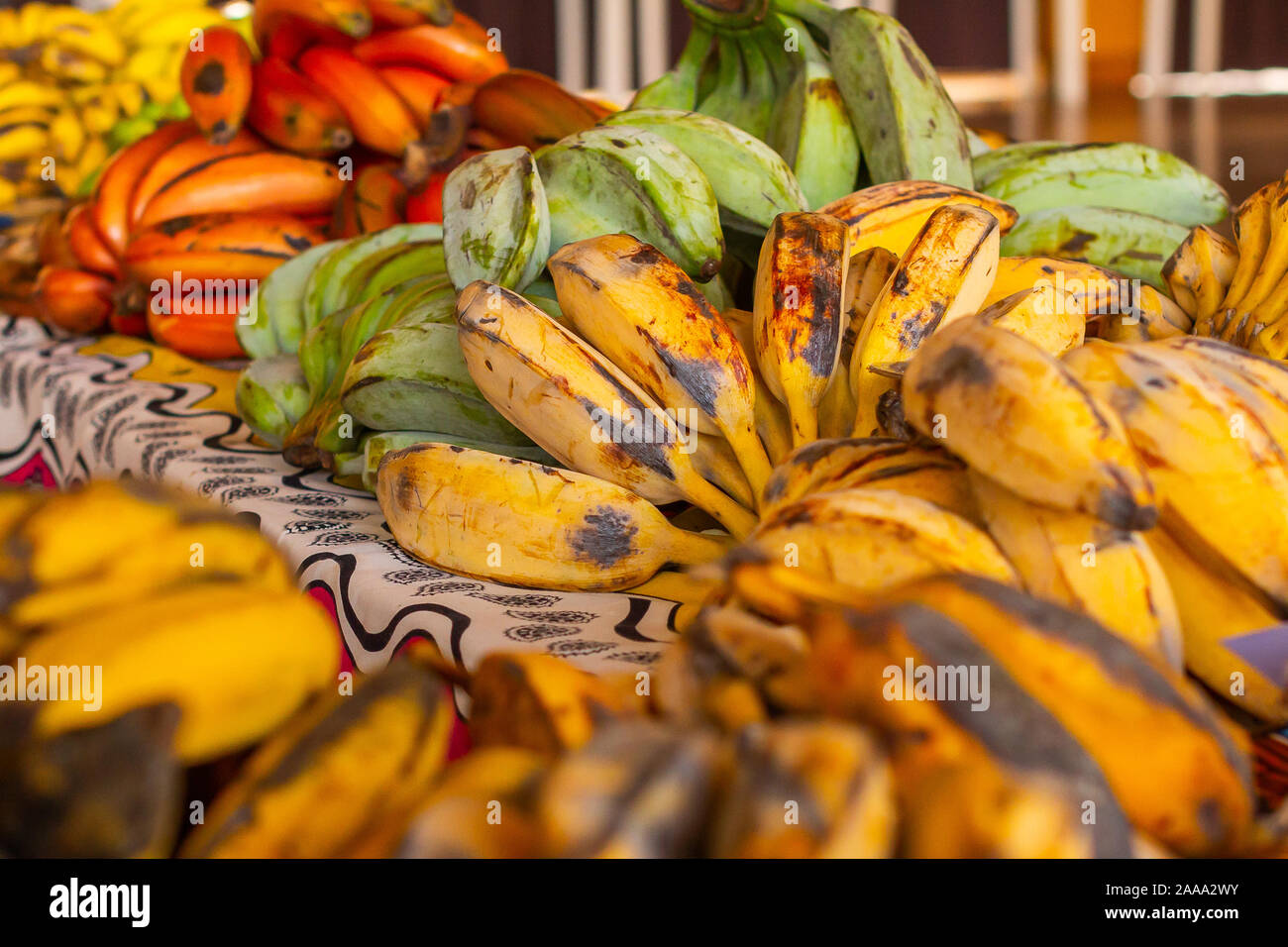 Different types and species of banana. Red, yellow, green bananas in ...