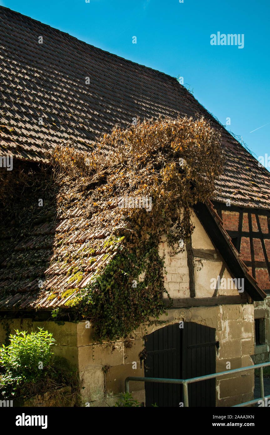 old barn with overgrown roof Stock Photo - Alamy