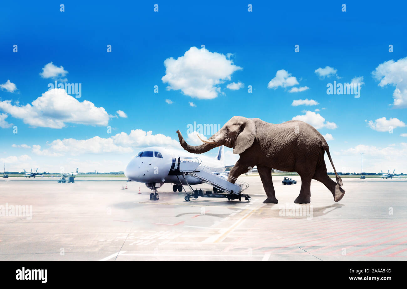 Big elephant oversized passenger board plane image Stock Photo - Alamy