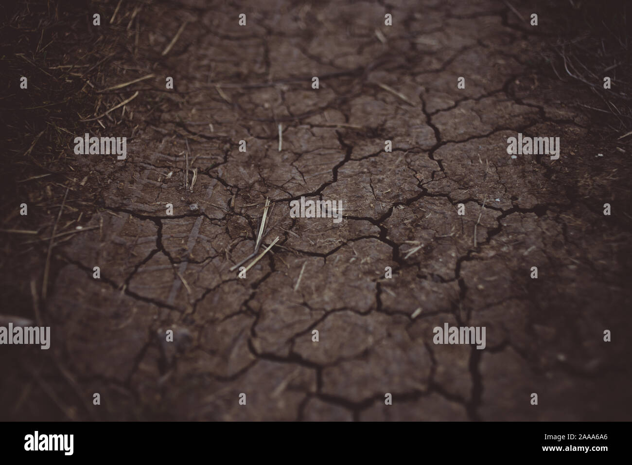 Brown hard earth in cracks, rural road texture close-up Stock Photo - Alamy