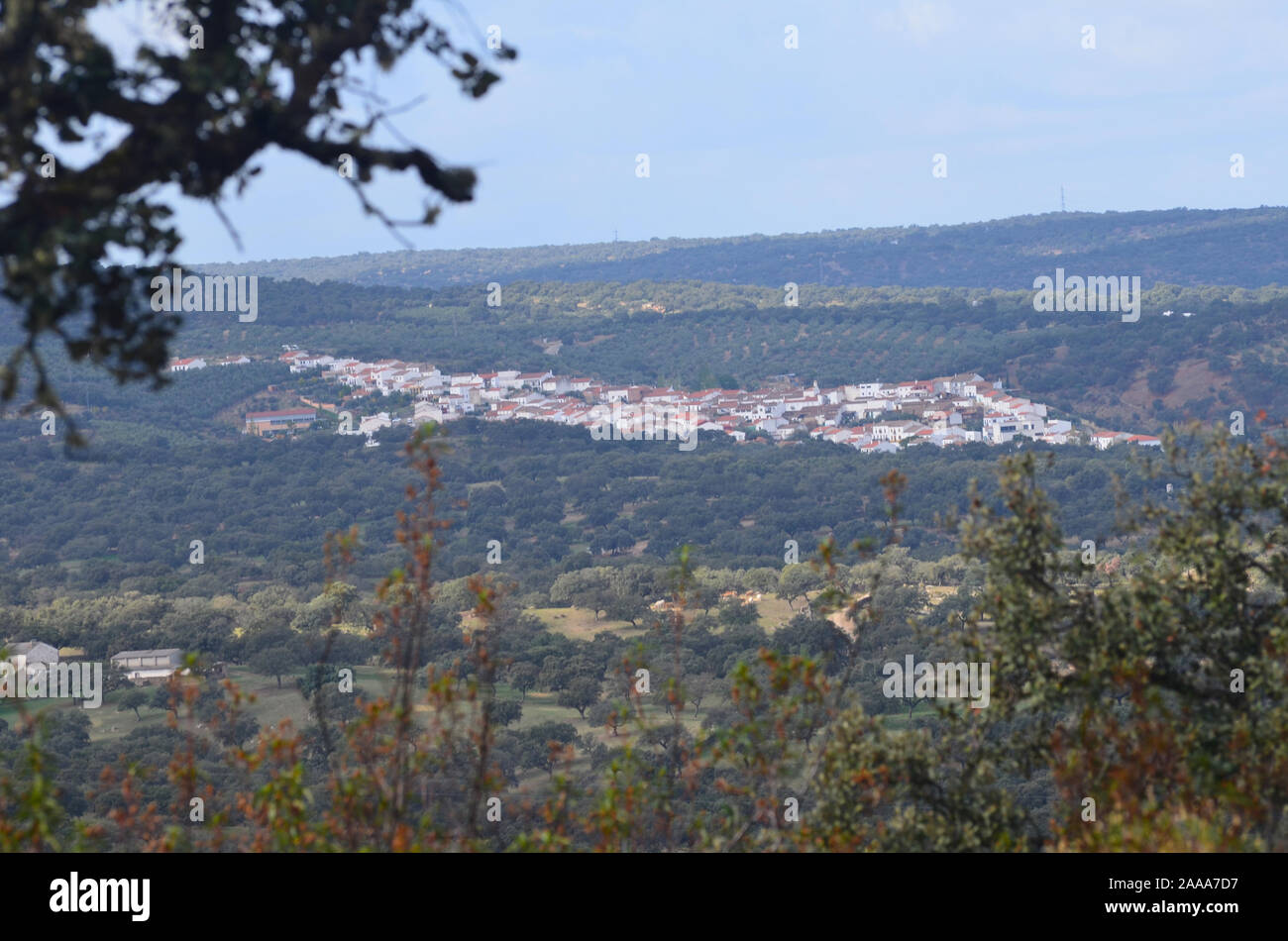 Azuel, a small village amidst olive tree groves in Sierra Morena ...