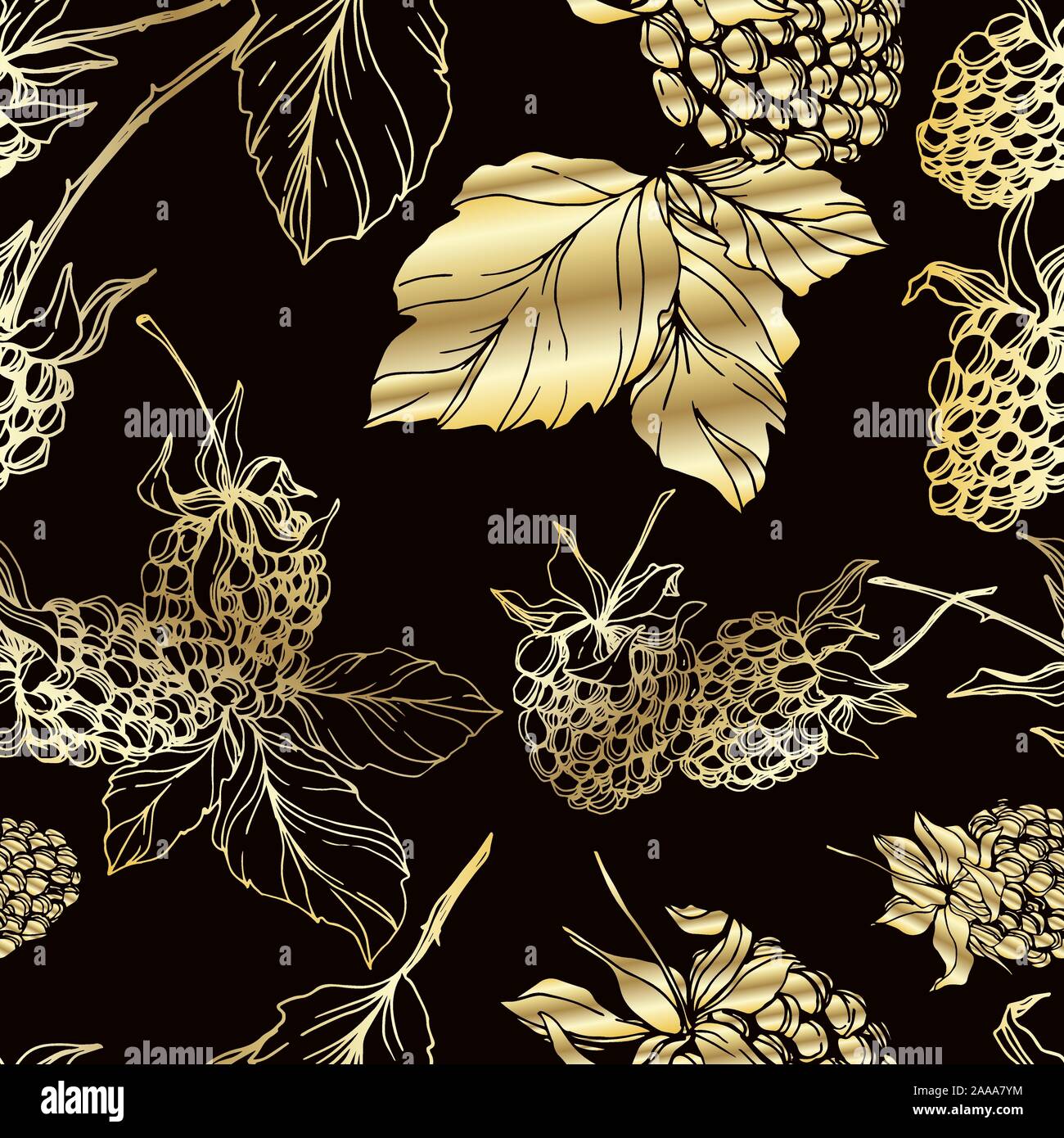 Blackberry healthy food. Black and white engraved ink art. Seamless ...