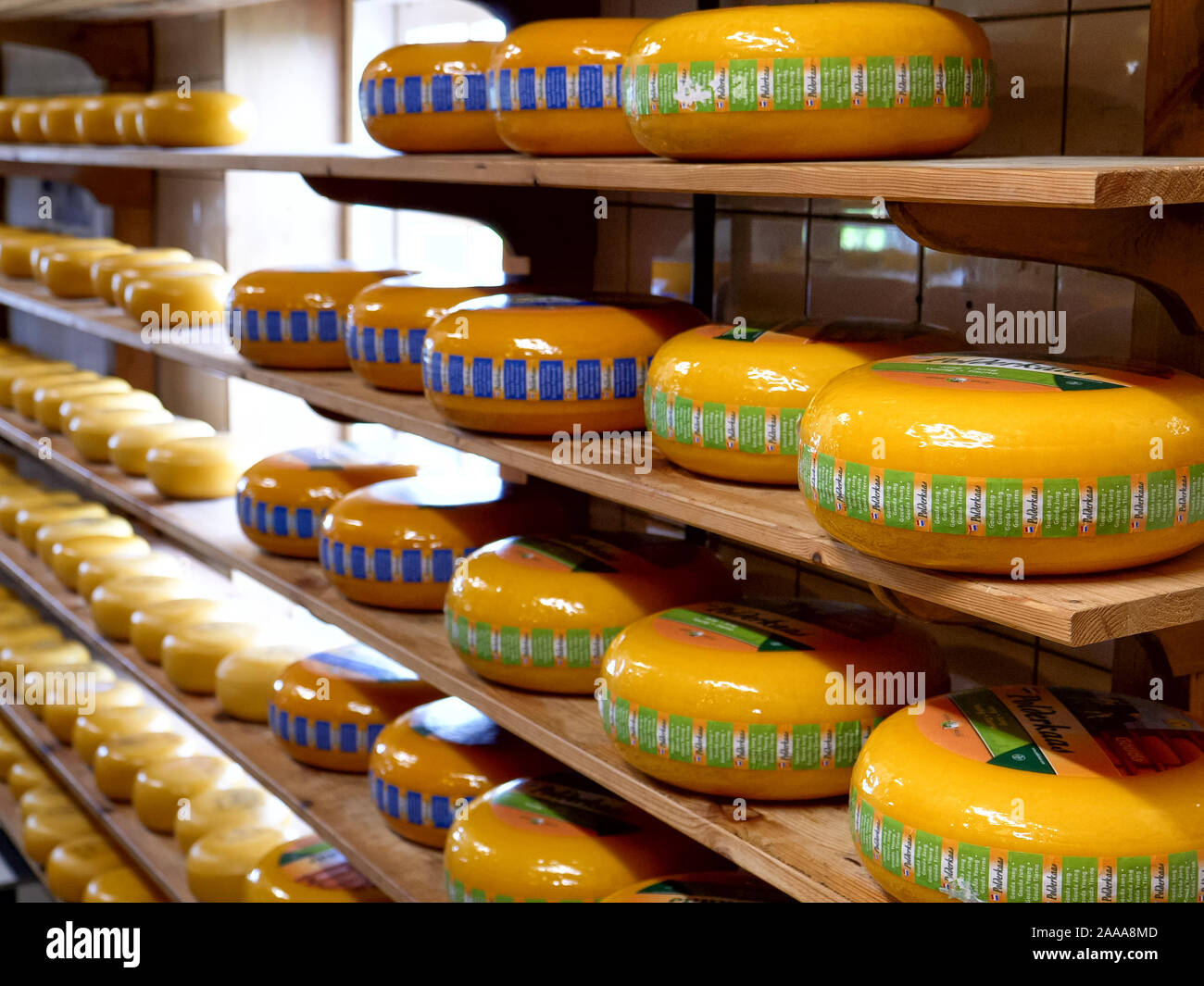Old cheese wheel hi-res stock photography and images - Alamy