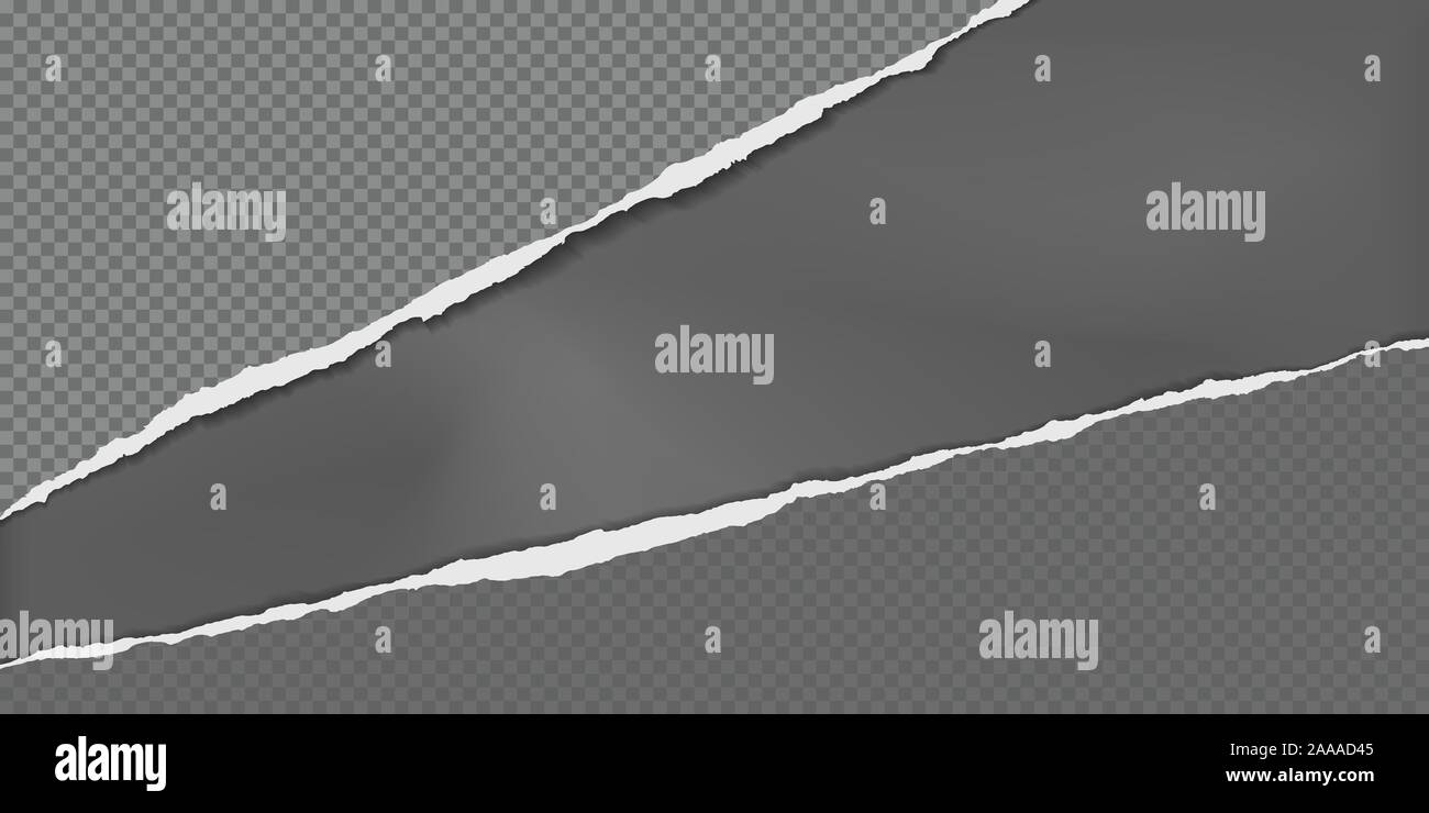 Torn, ripped pieces of diagonal squared paper with soft shadow are on ...