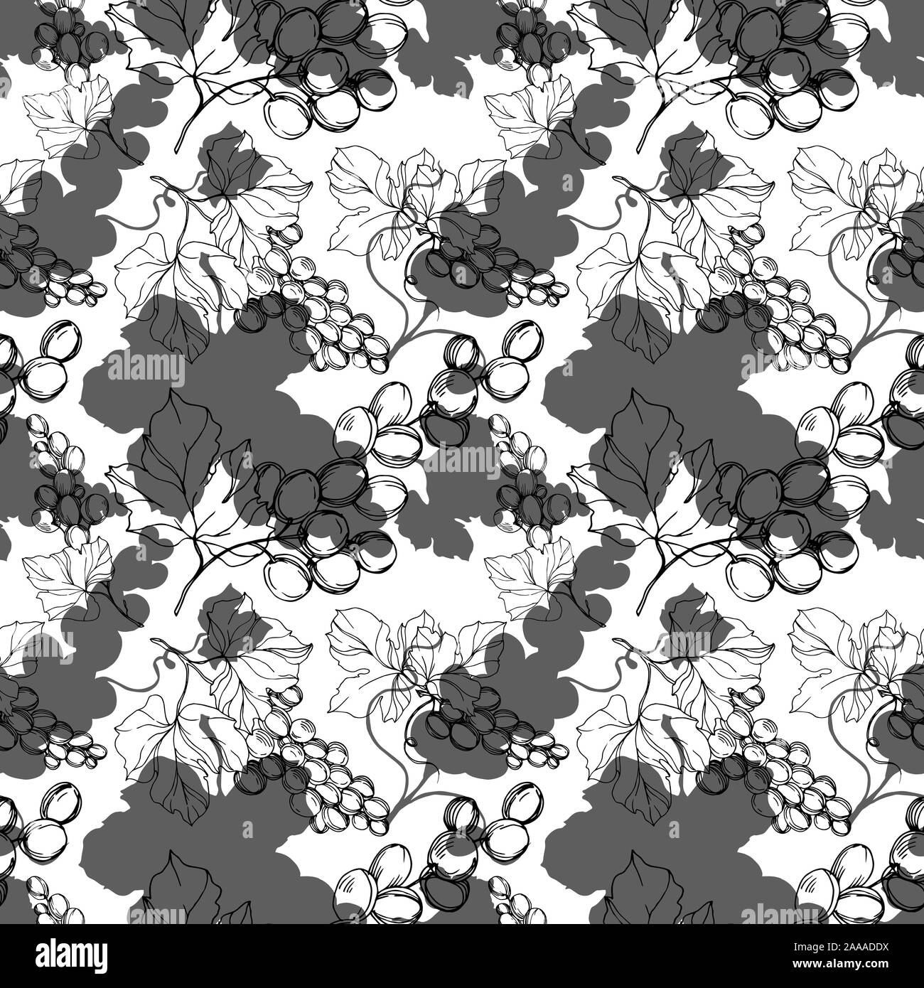 Grape berry healthy food. Black and white engraved ink art. Seamless ...