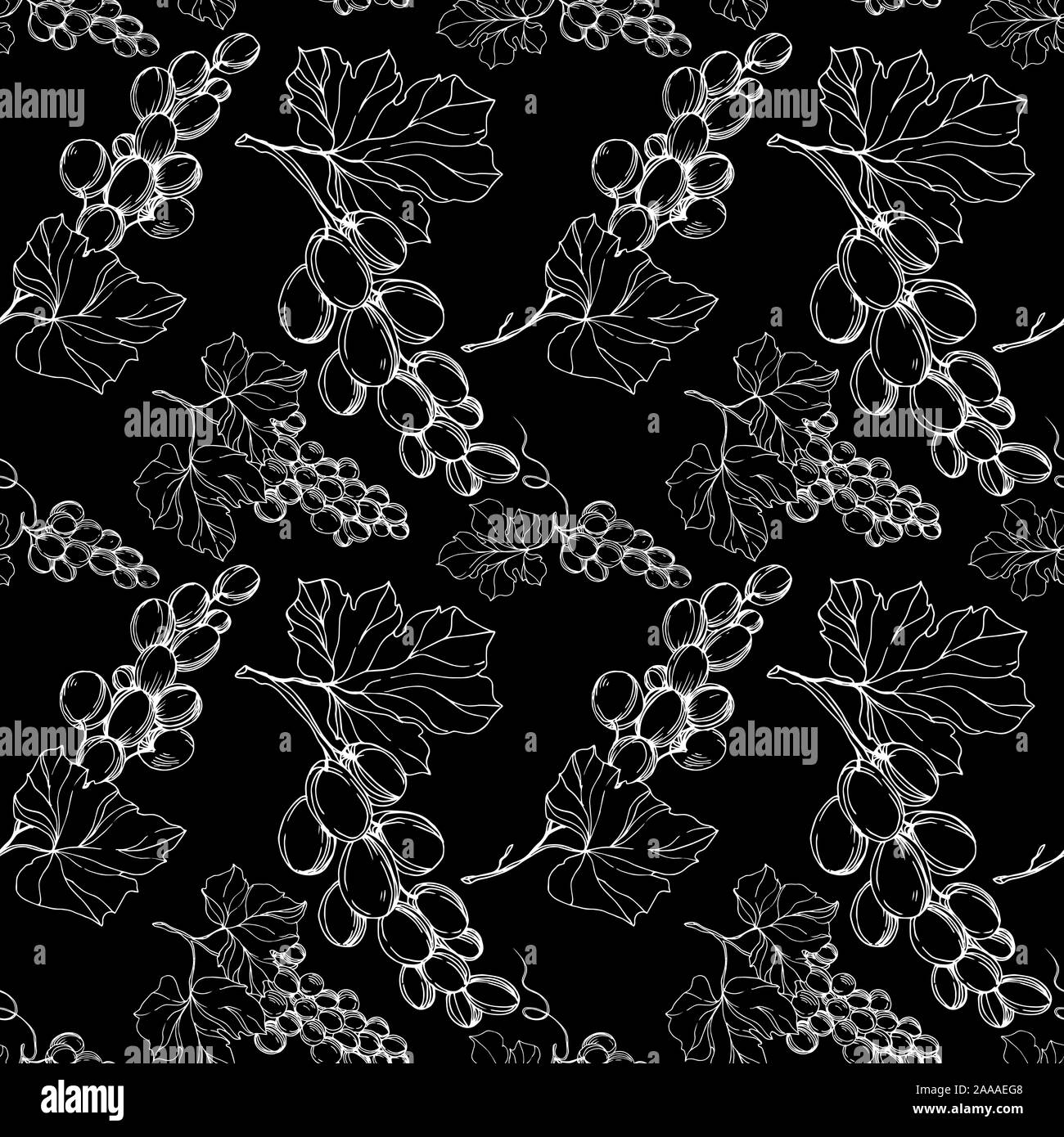 Grape berry healthy food. Black and white engraved ink art. Seamless ...