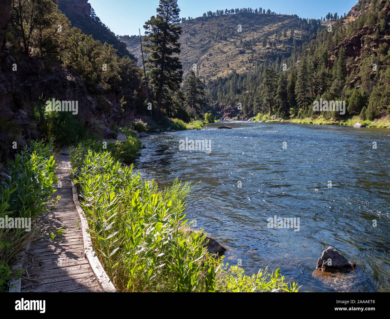 Green River, Little Hole Trail, Ashley National Forest, Flaming Gorge ...