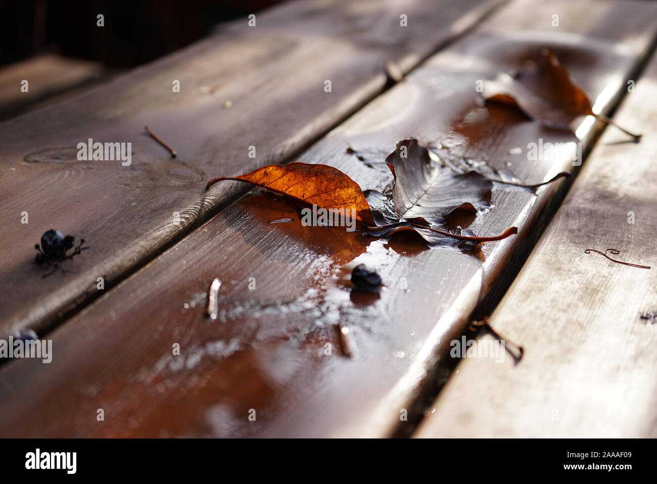 autumn leaves on the dry, wodden table in garden Stock Photo - Alamy