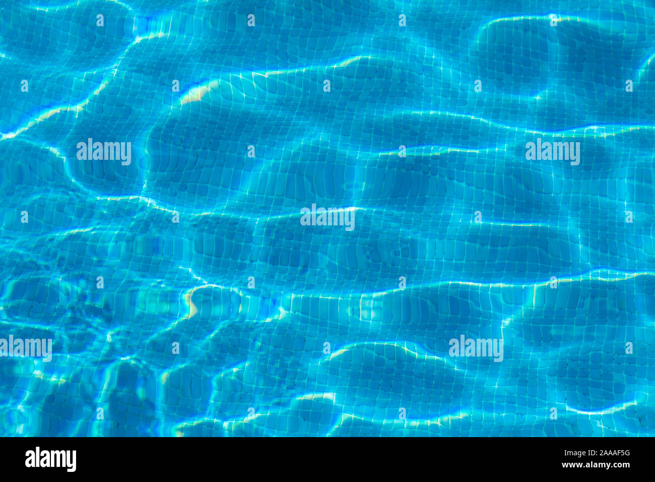 See through the water of the swimming pool Stock Photo - Alamy