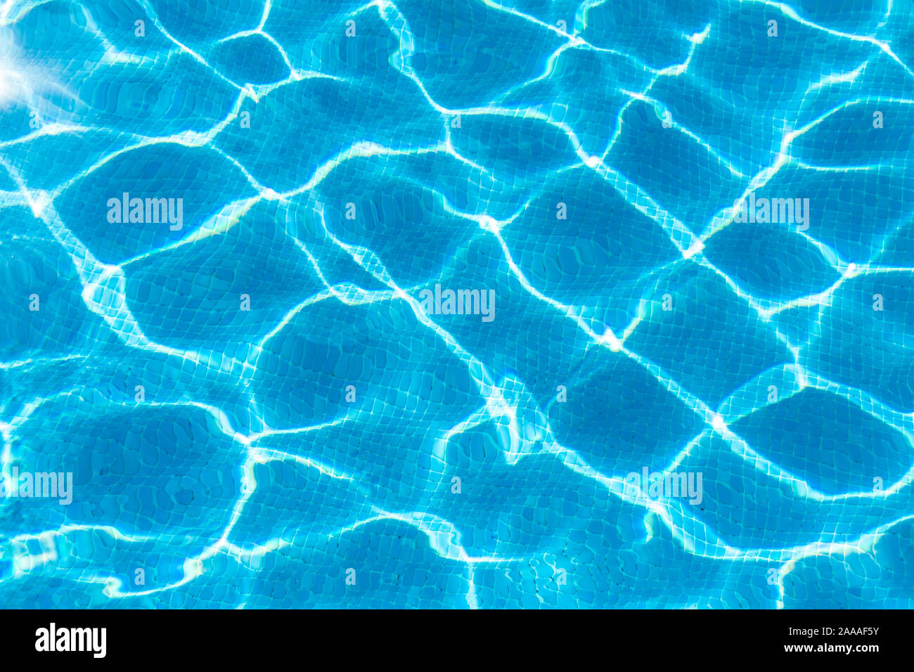See through the water of the swimming pool Stock Photo - Alamy