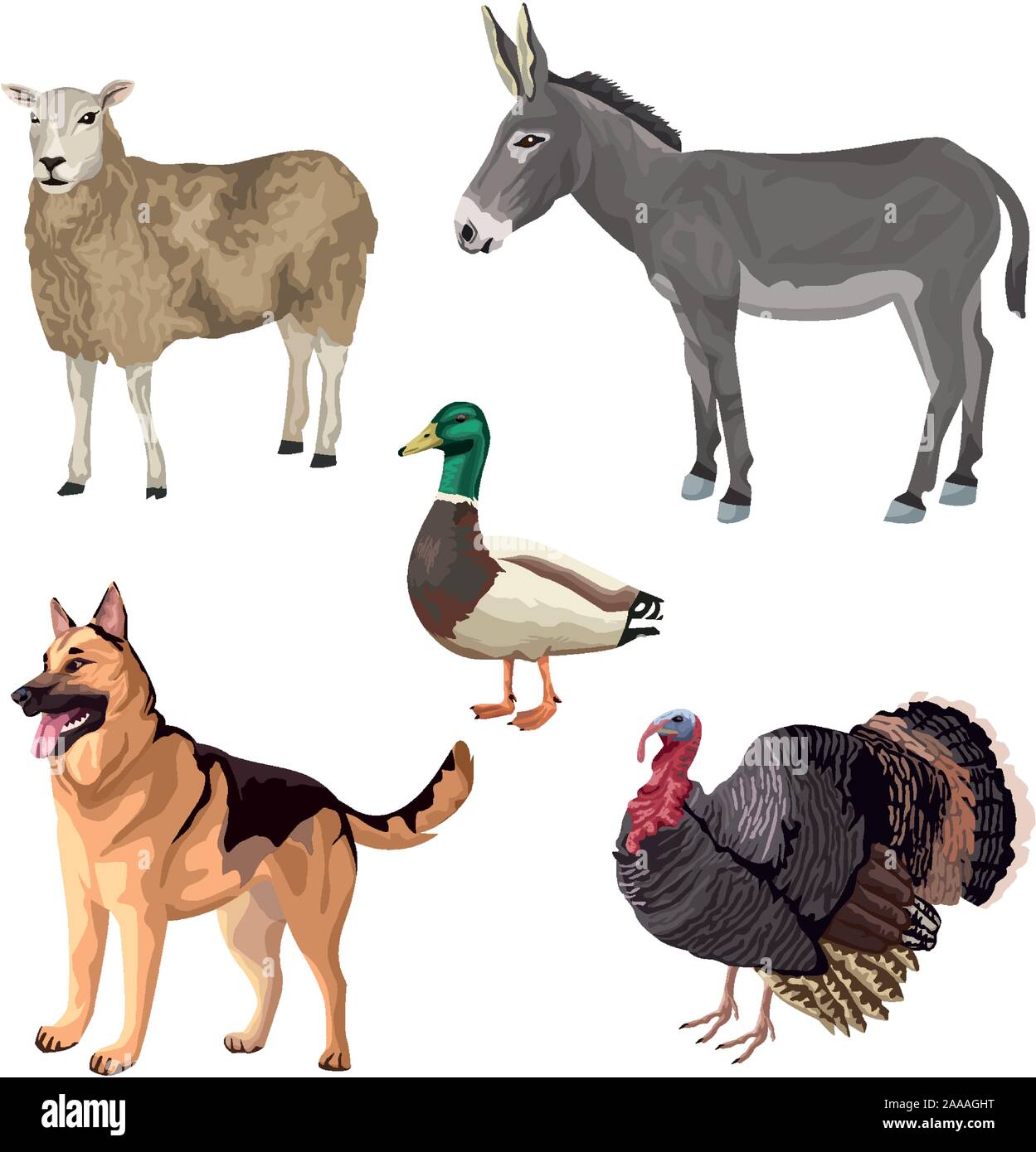 group of animals farm characters Stock Vector Image & Art - Alamy