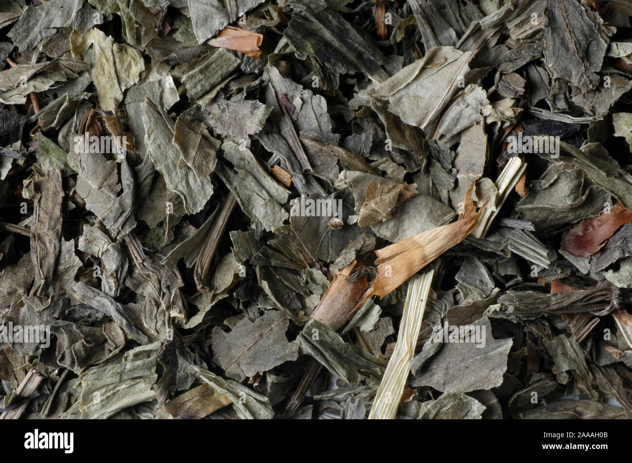 Woodruff dried / (Galium odoratum, Asperula odorata) / Waldmeister ...