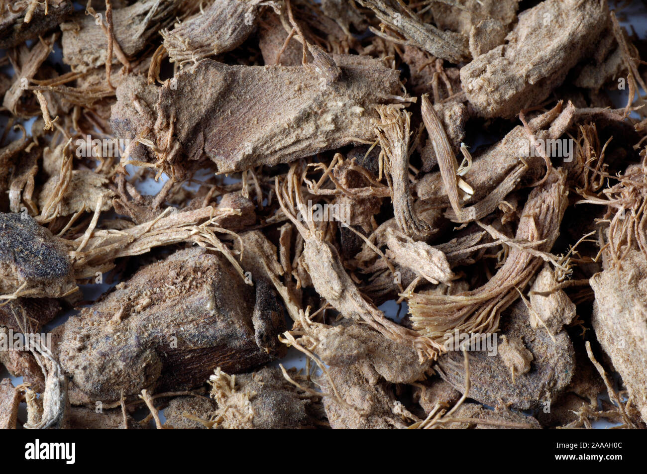 Galgantwurzel hi-res stock photography and images - Alamy