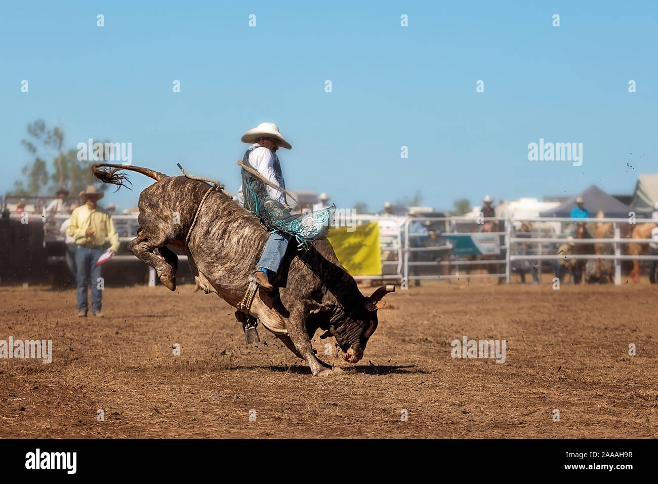 A cowboy competing in a bull riding event at a country rodeo Stock ...