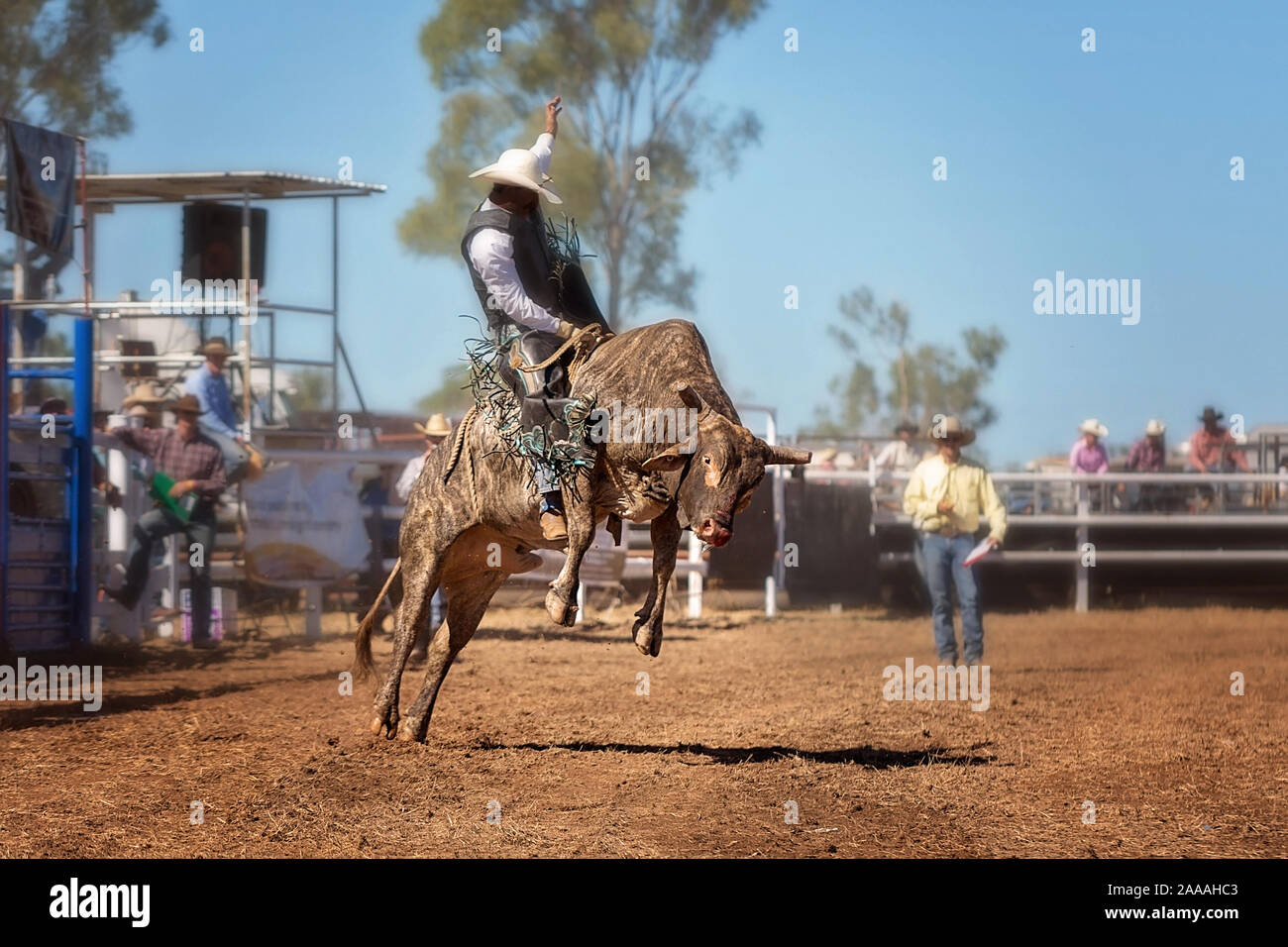 A cowboy in the bull riding competition at an outback country rodeo ...