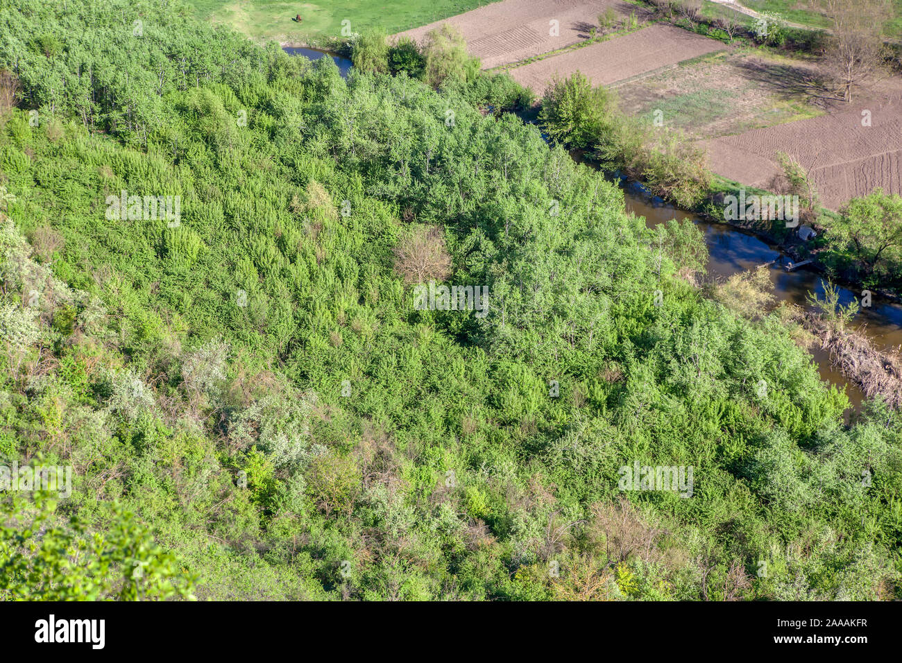 green trees nature view from the height Stock Photo - Alamy