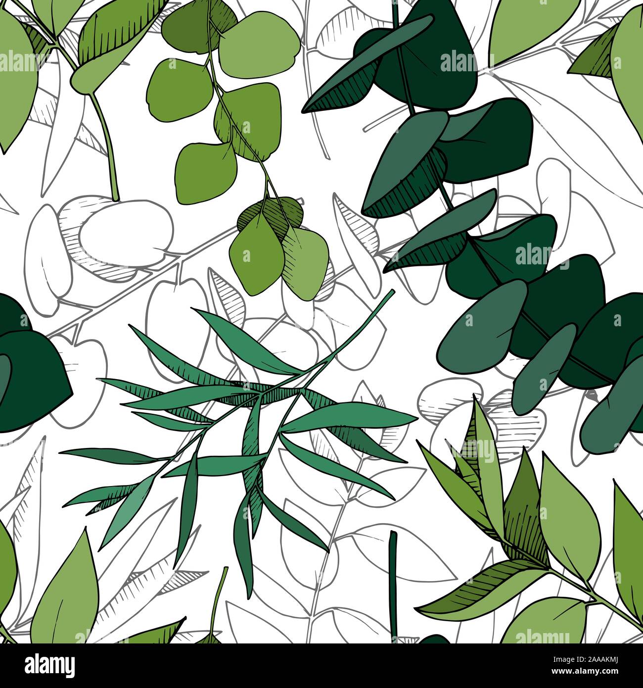 Vector Eucalyptus leaves branch. Black and white engraved ink art. Seamless background pattern ...