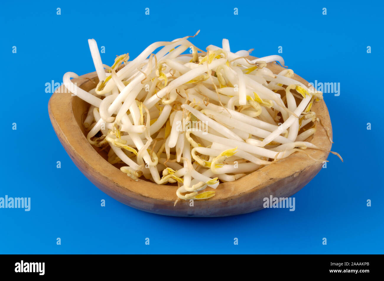 Soya sprouts | Soja Sprossen Stock Photo - Alamy