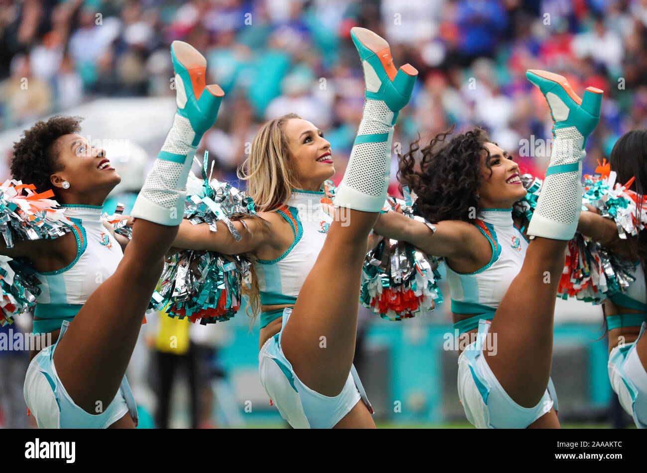 Nfl Cheerleaders Dolphins