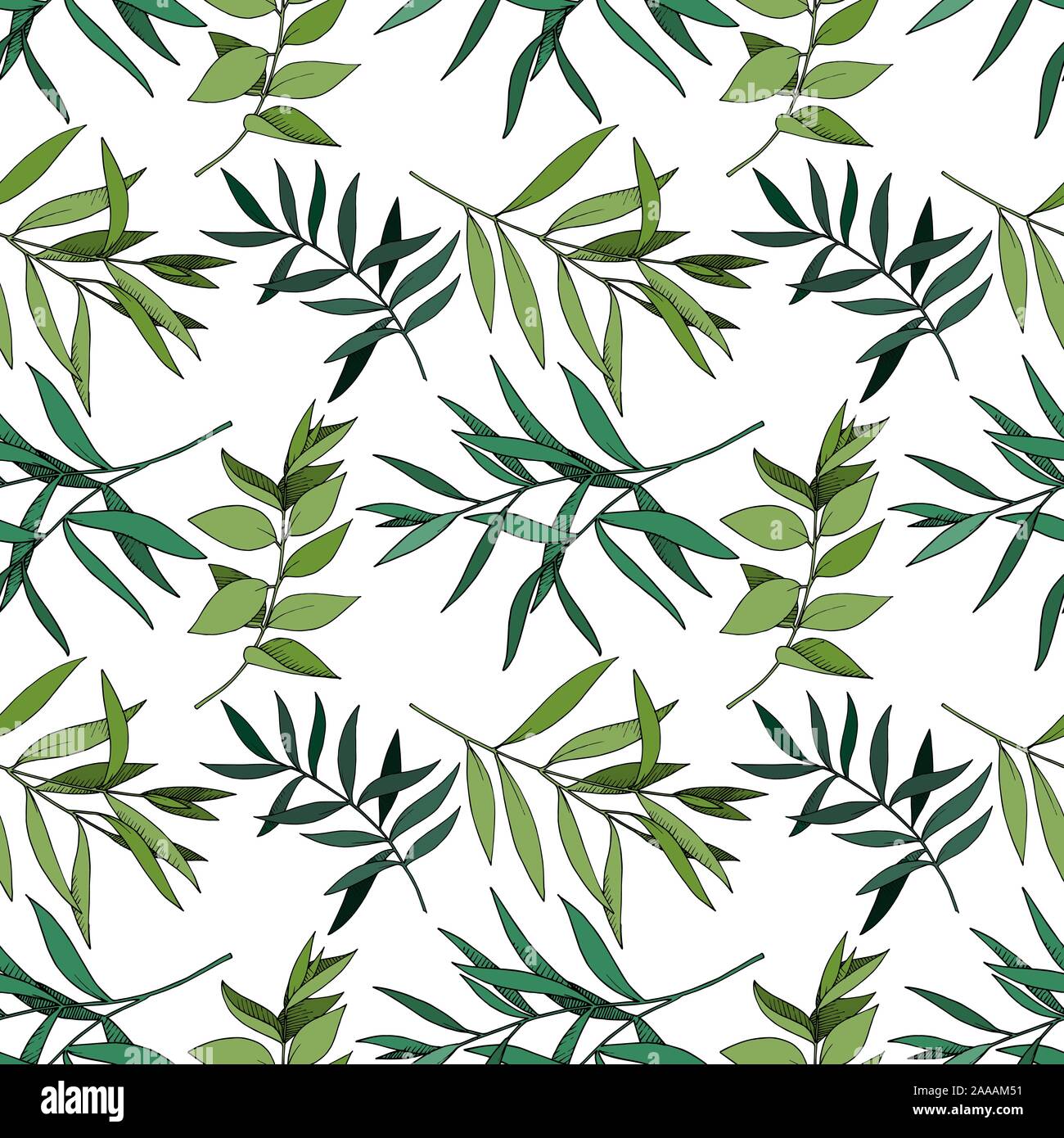 Vector Eucalyptus leaves branch. Black and white engraved ink art. Seamless background pattern ...