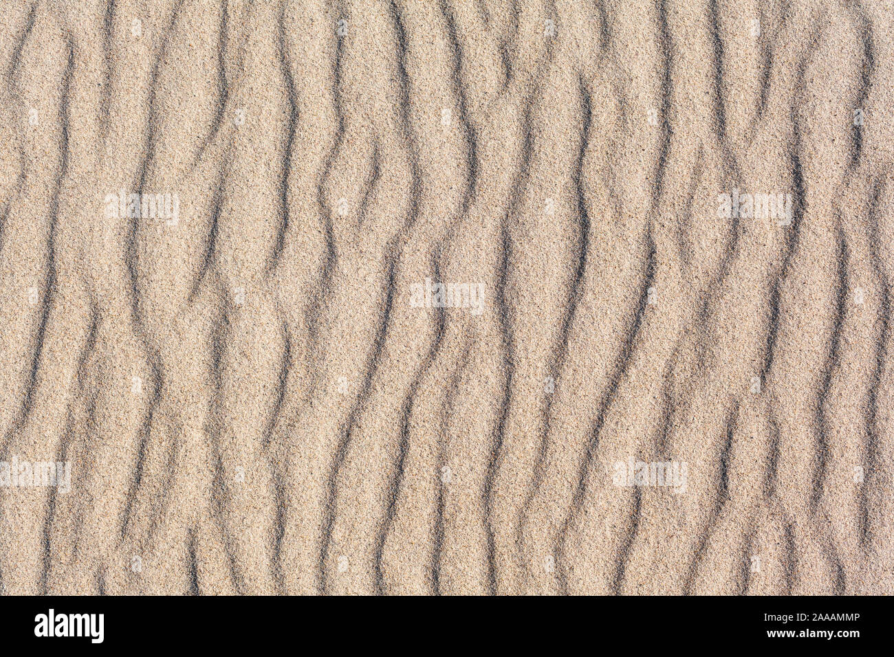 Natural beach structure hi-res stock photography and images - Alamy