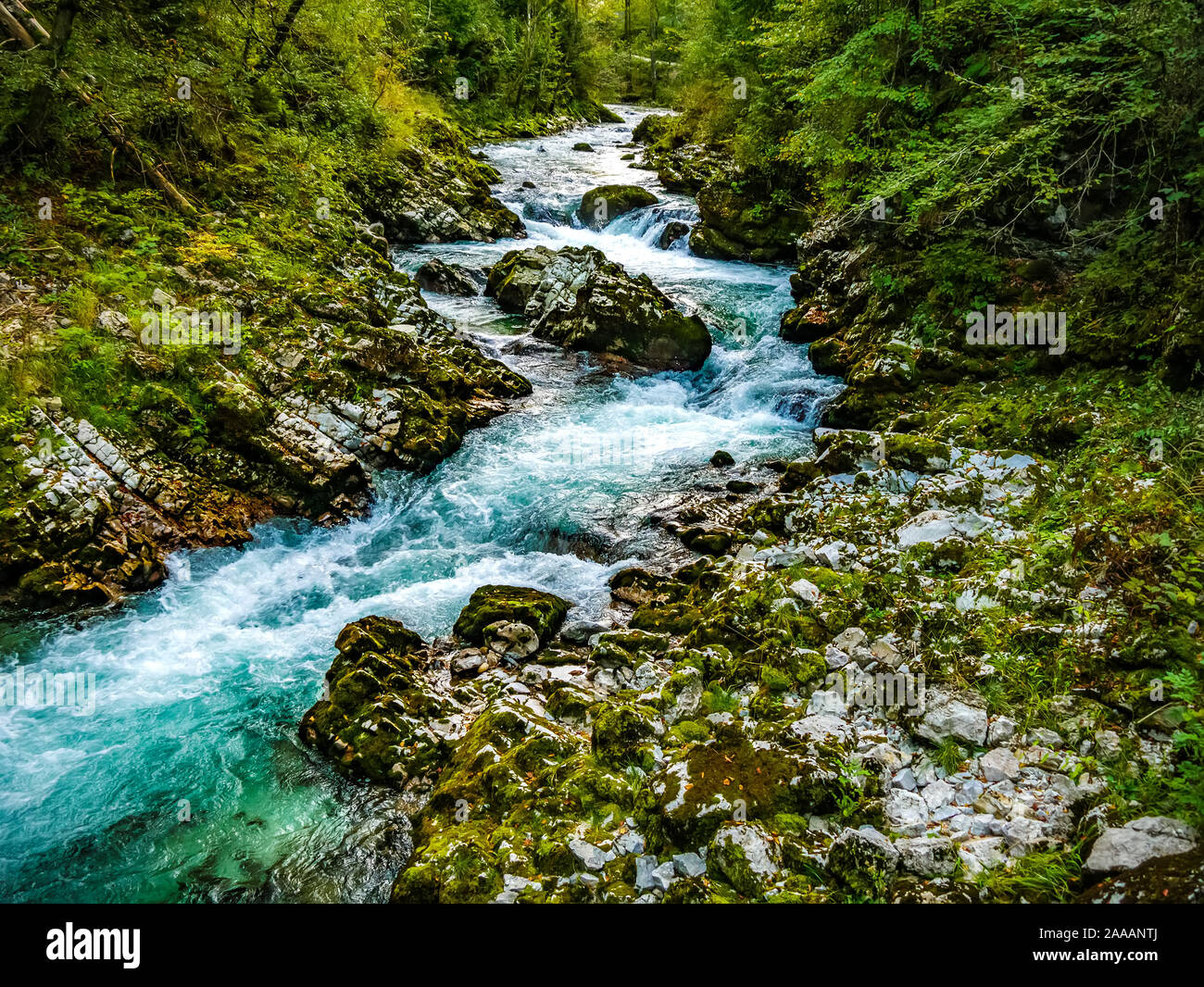 View on the beautiful Vintgar Gorge waterfall in Slovenia on an autumn ...