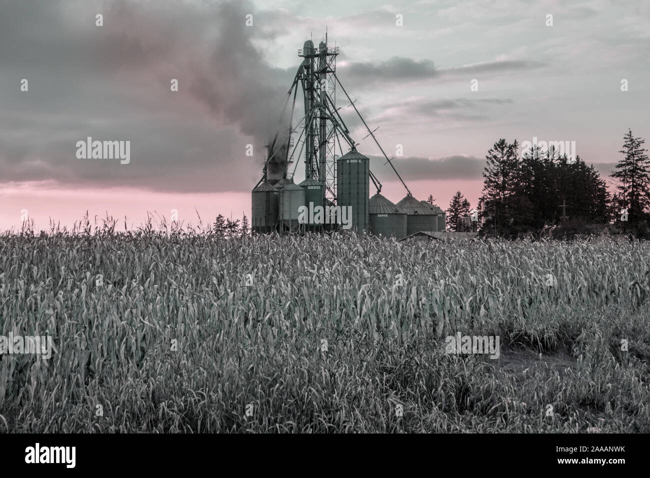 Southern Ontario: agricultural silo, fall, early cold days Stock Photo ...