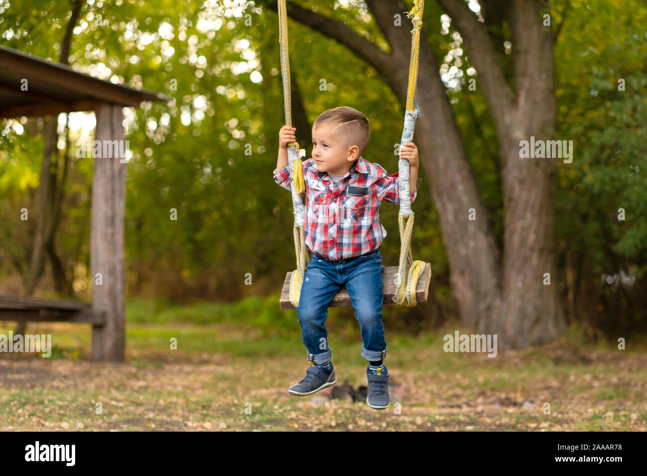 Little boy riding a swing in a green park. Happy childhood Stock Photo ...