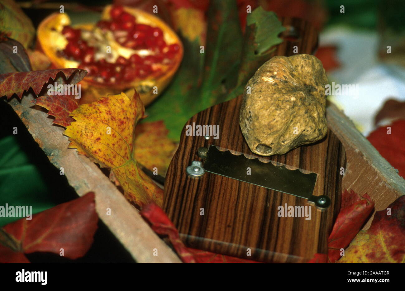 Truffle piedmont hi-res stock photography and images - Alamy