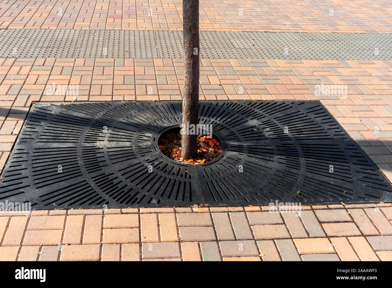 Metal grate for tree in a city walkway Stock Photo - Alamy