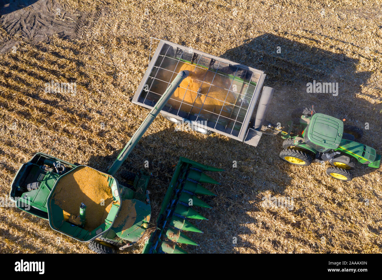 Ragan, Nebraska - Corn harvest Stock Photo - Alamy