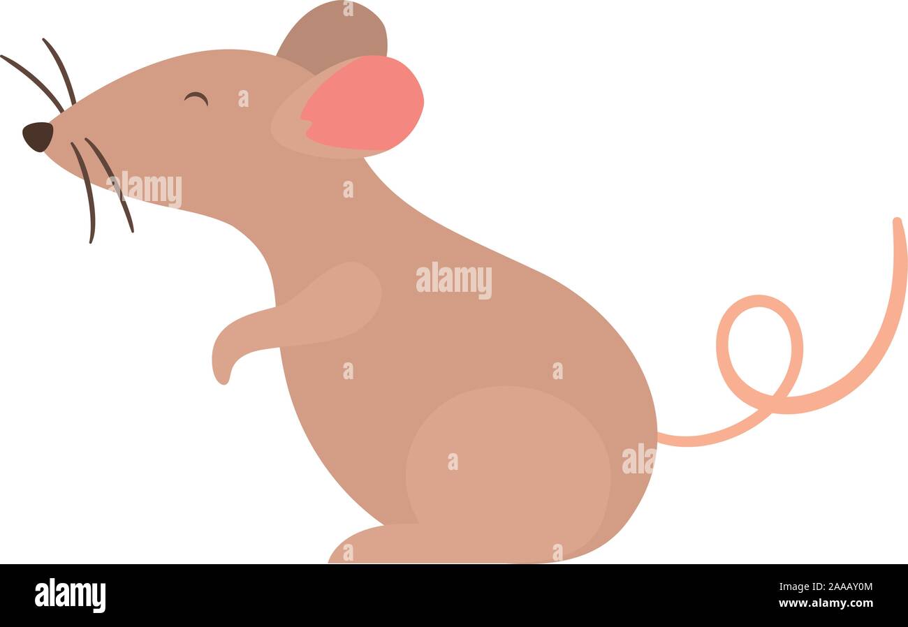 Isolated mouse cartoon vector design Stock Vector Image & Art - Alamy