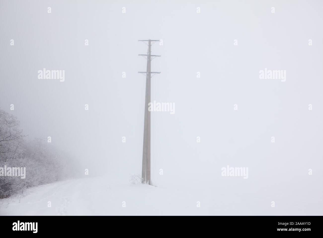 Electric pole on snowy hi-res stock photography and images - Alamy