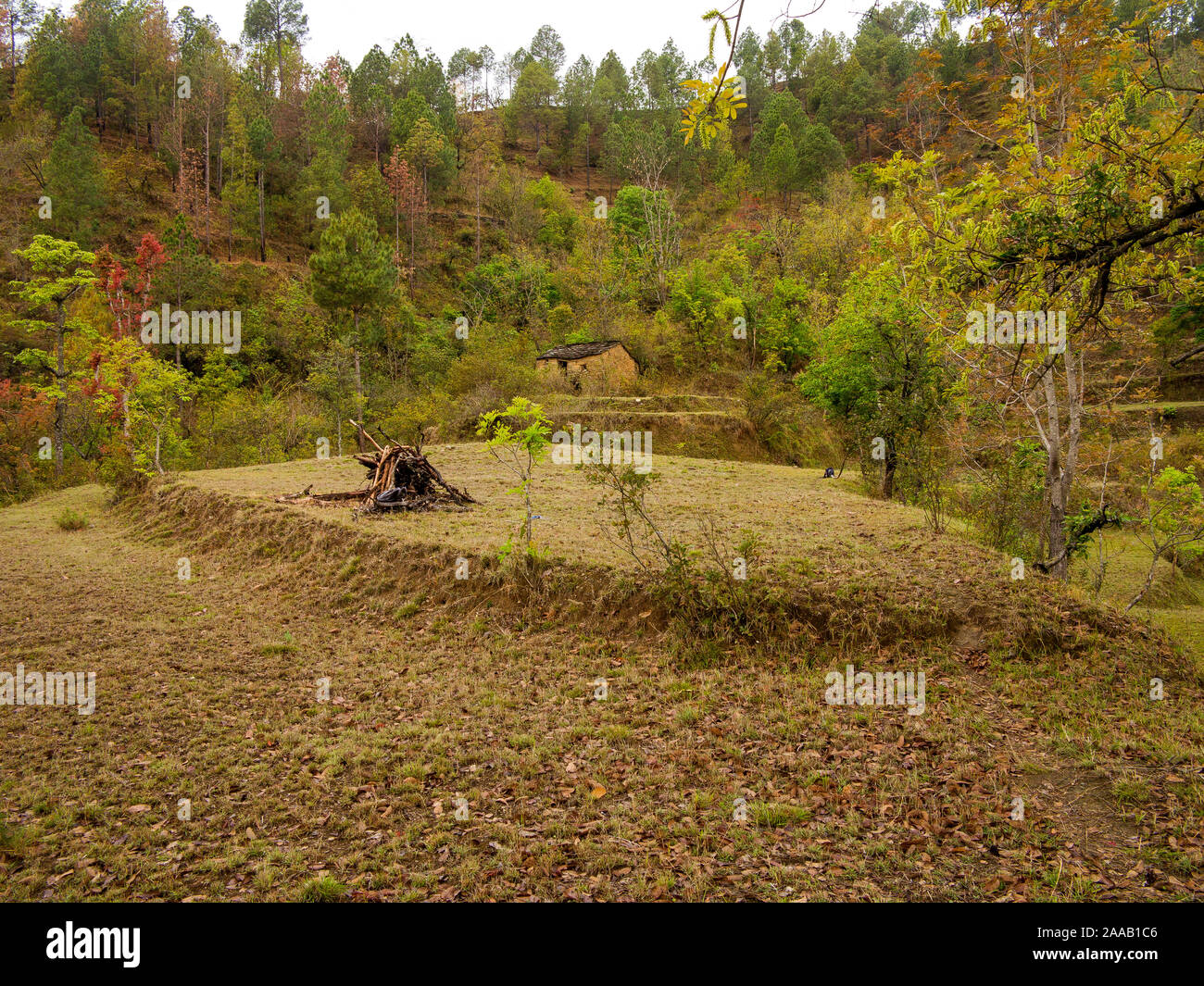 The terraced field at Sanouli village where Jim Corbett shot the Panar ...