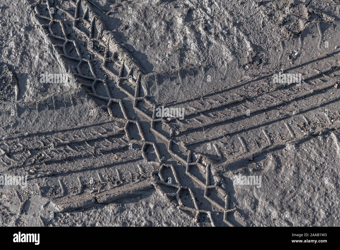 Tyre tracks in soft muddy gloop / tracks on mud. Curved tracks, curving ...