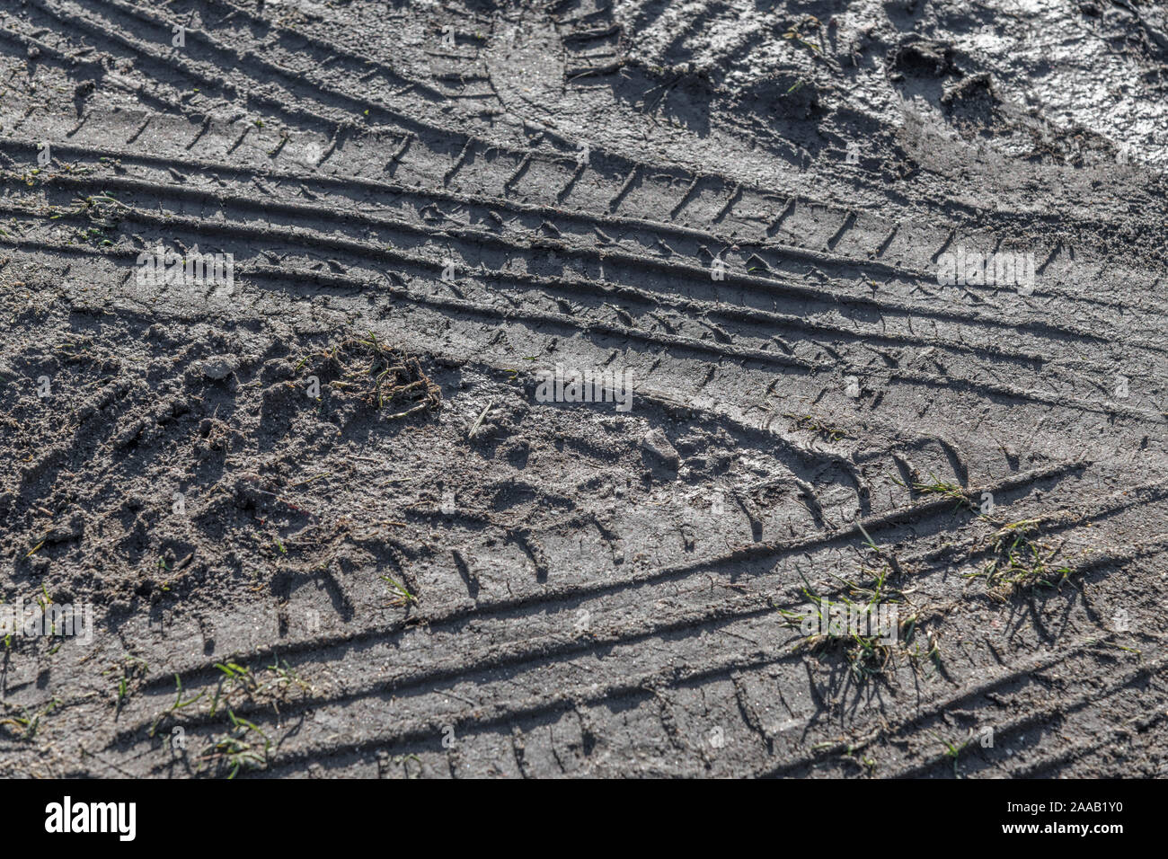 Tyre tracks in soft muddy gloop / tracks on mud. Curved tracks, curving ...