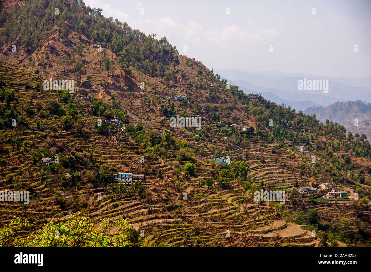 Terraced fields at a remote village on the Kumaon Hills, Uttarakhand ...