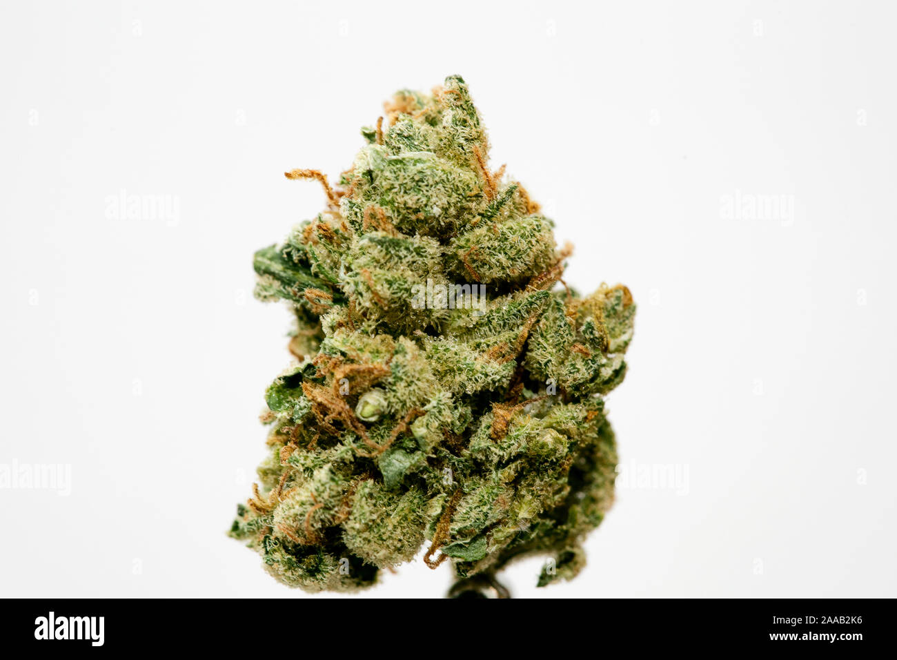Cannabis bud super lemon haze macro background fifty megapixels Stock ...