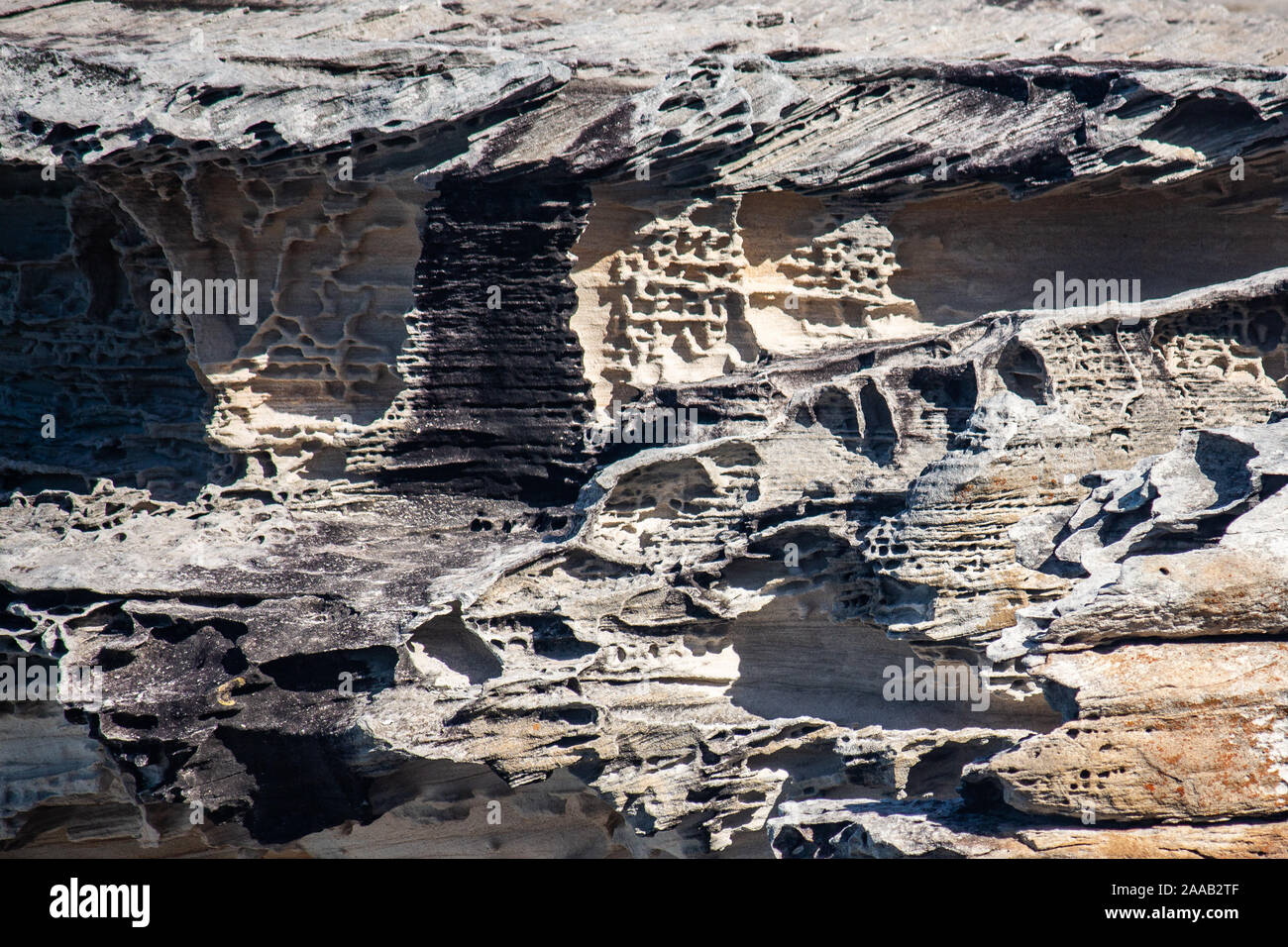 Sandstone cliff rock face layers weathered by seaside, ideal as natural ...