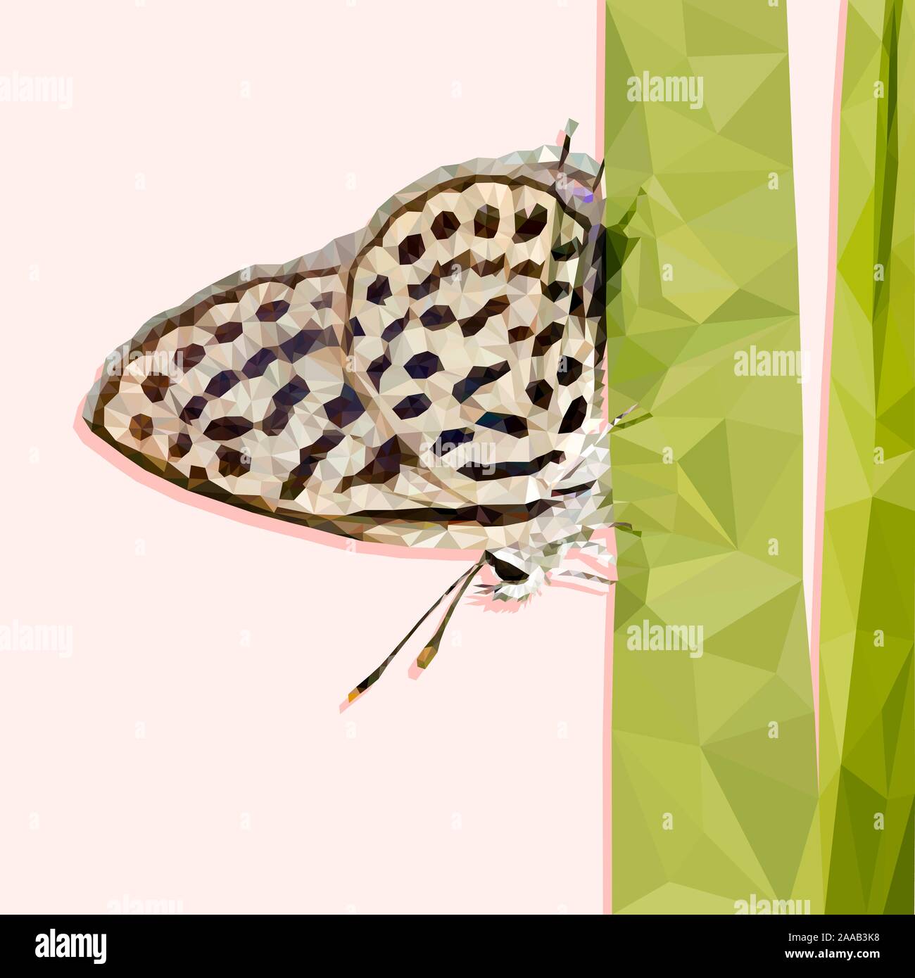 Polygonal butterfly on white background. Low poly butterfly Butterfly ...