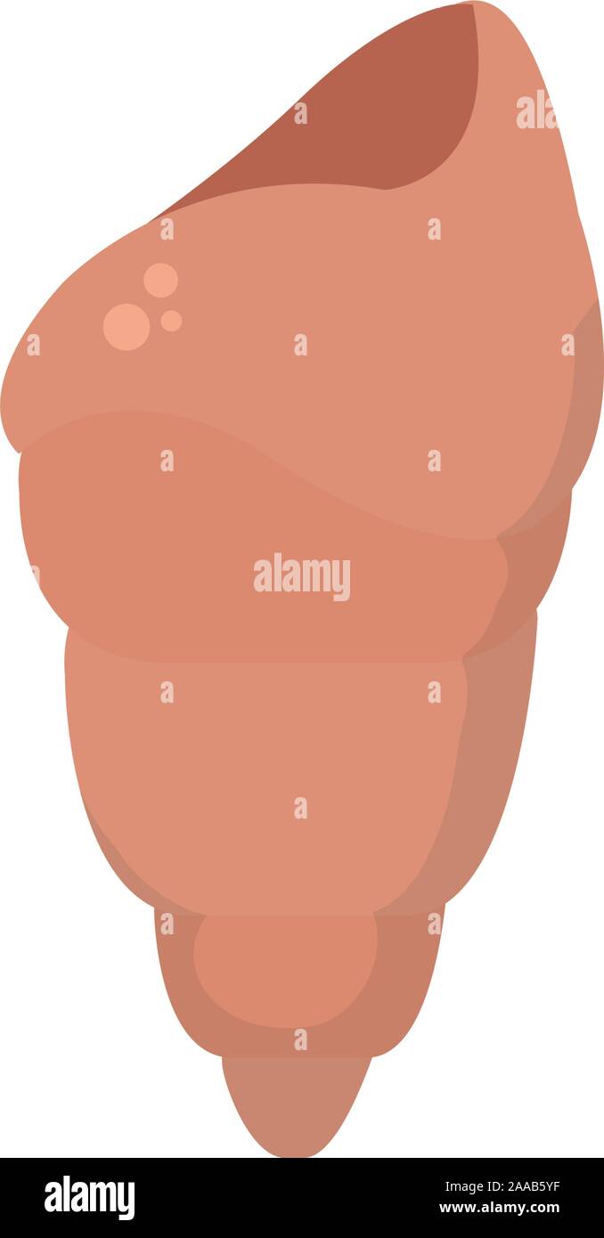 Isolated sea shelf vector design Stock Vector Image & Art - Alamy