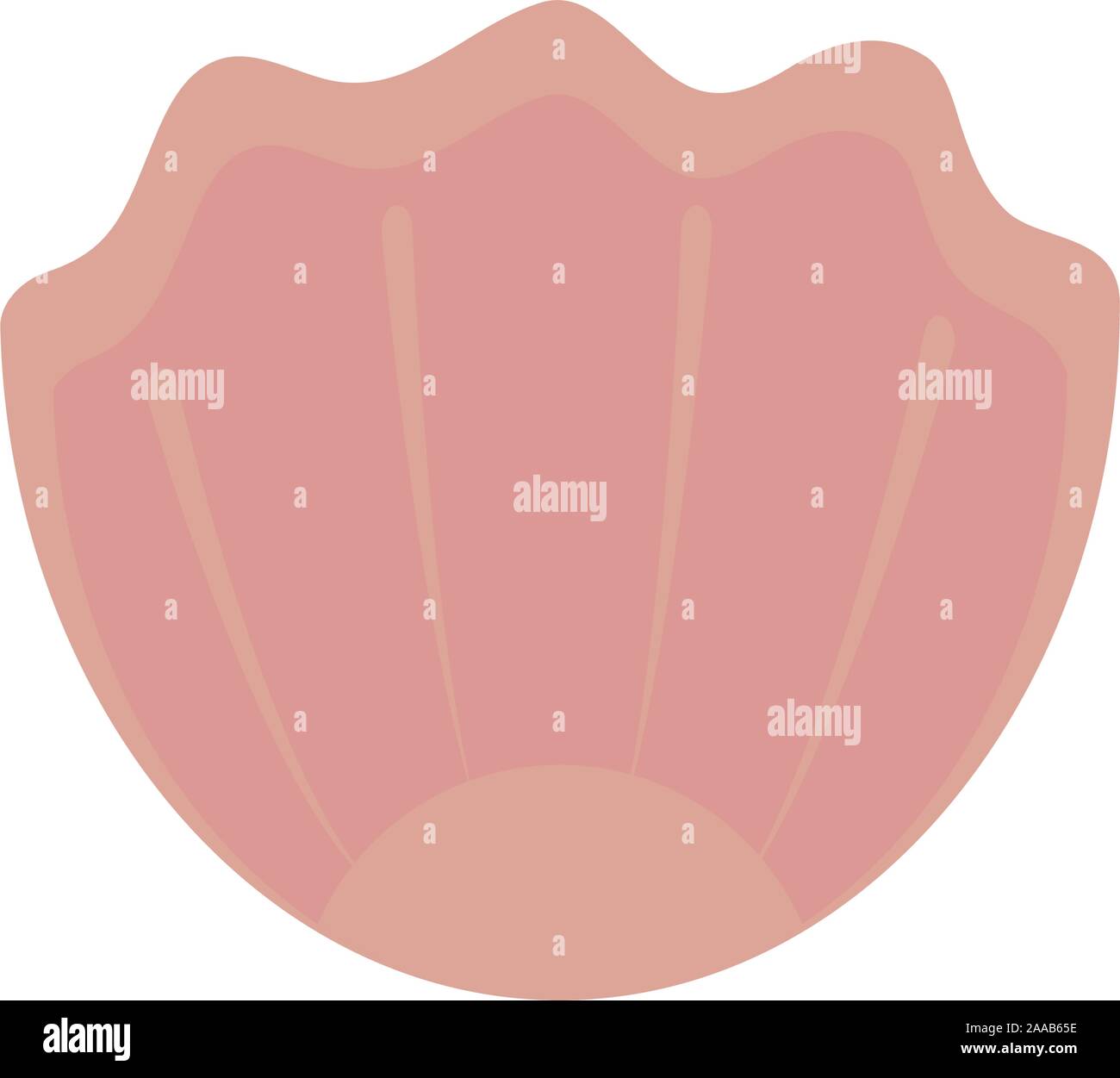 Isolated sea shelf vector design Stock Vector Image & Art - Alamy