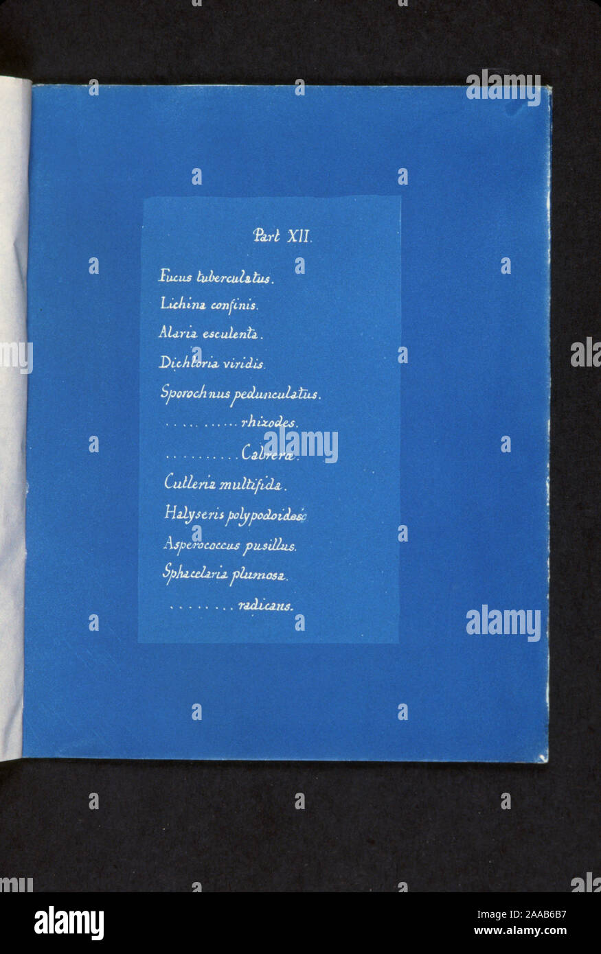 Contents list.; Contents list Stock Photo - Alamy